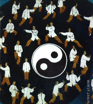 Photo Gallery | Practical Tai Chi Chuan International