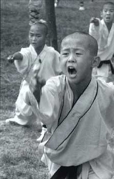 Photo Gallery | Practical Tai Chi Chuan International